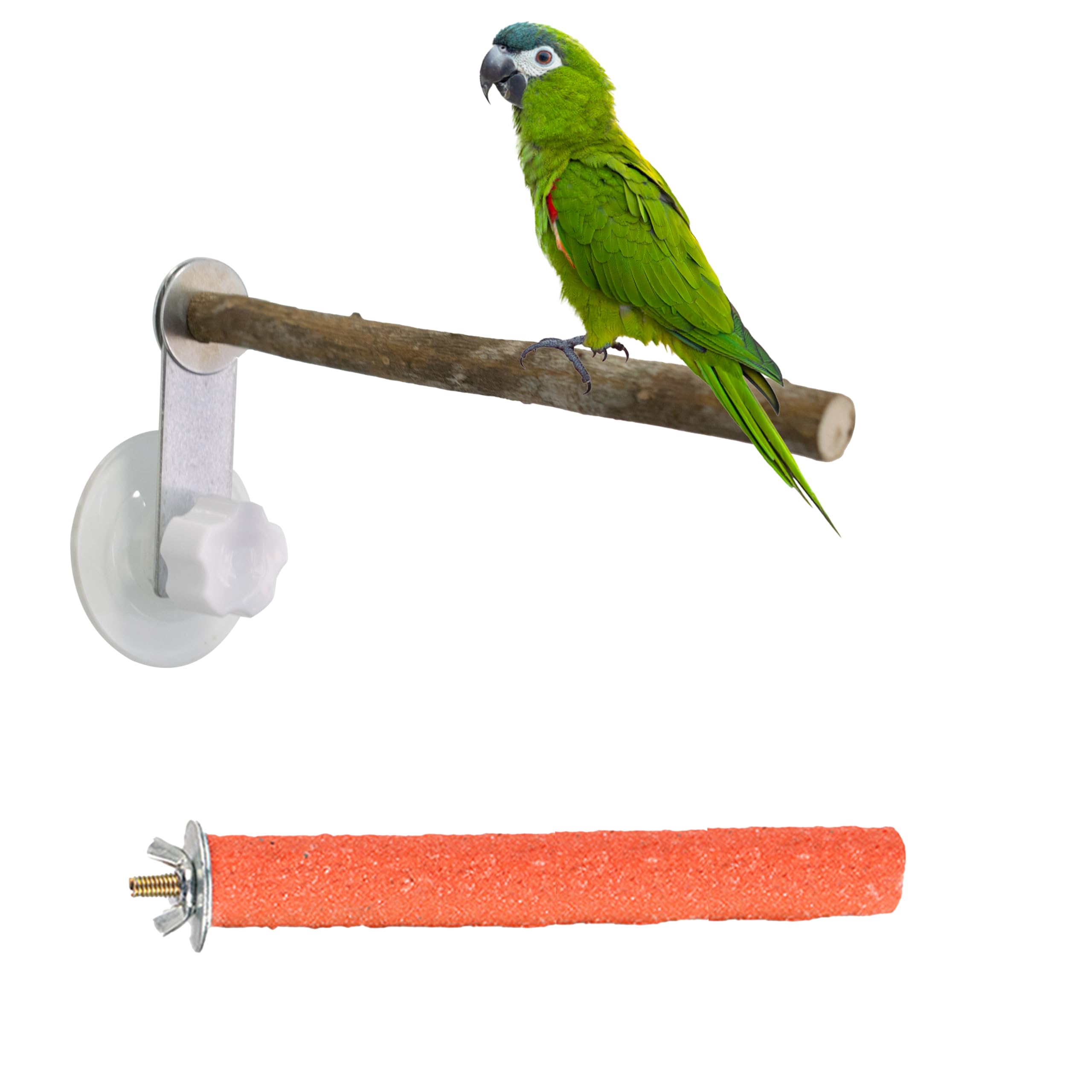 Amazon.com : 2 PCS Bird Perch with Suction Cup Window Wall Bath Car ...
