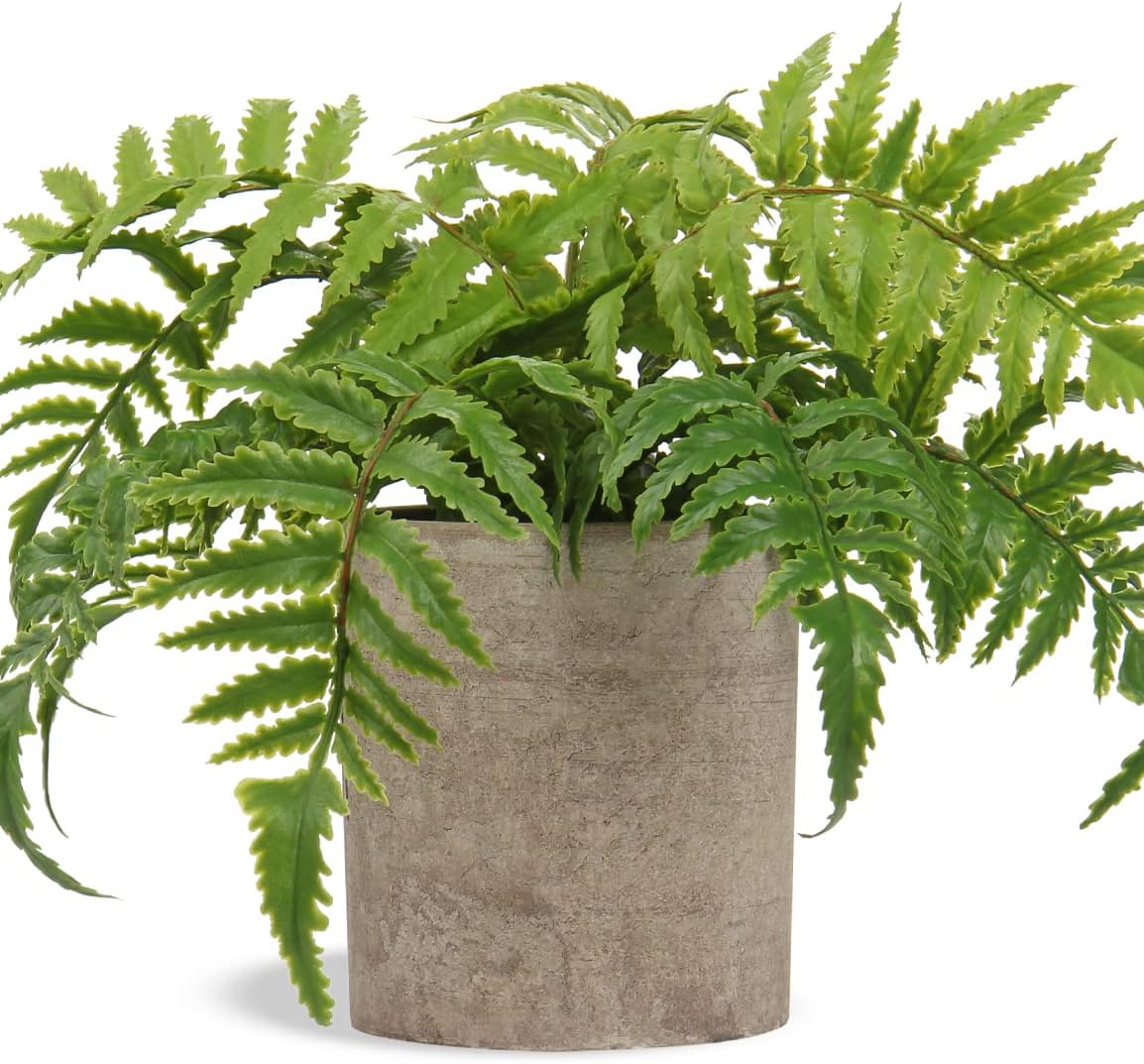 Amazon.com: Blanca Rosana Artificial Boston Fern Plants Bushes Faux ...