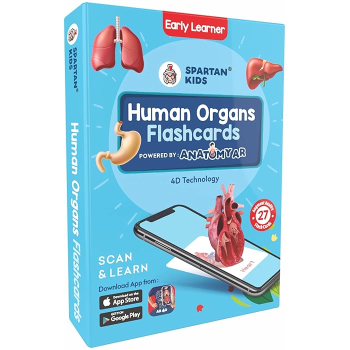 Buy Human Organs Flash cards | Early Learning 4D Technology Flash Cards ...