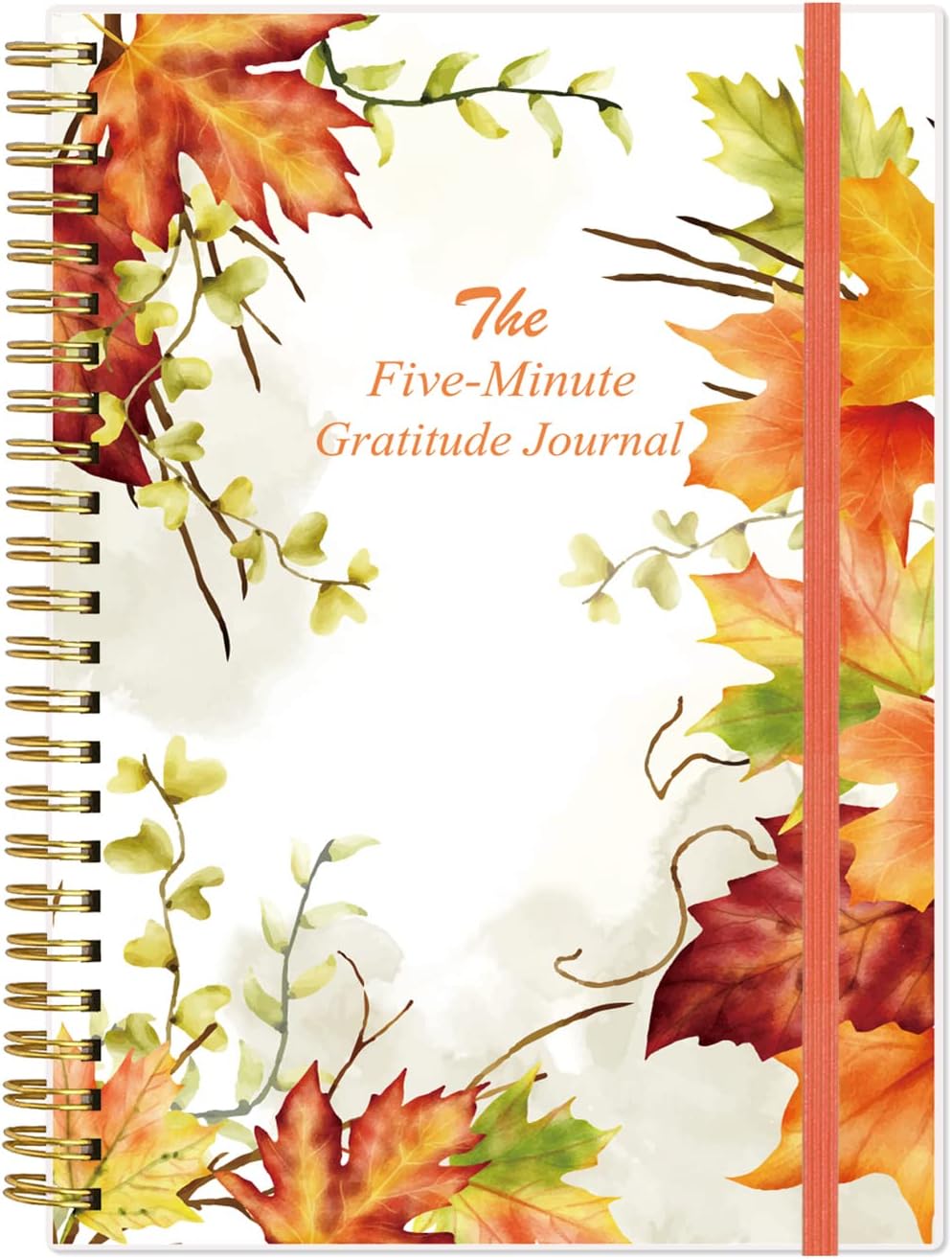Amazon.com : The Five-Minute Gratitude Journal - Original Creator of ...