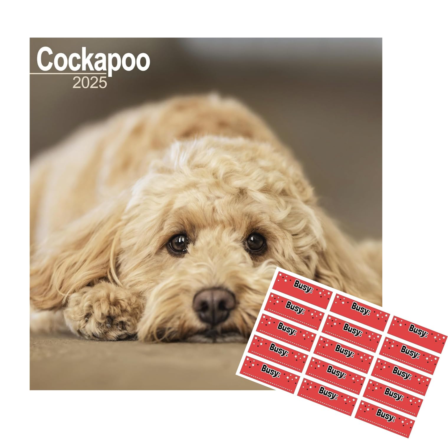 Cockapoo Calendar 2025 | 16 months | with FREE Organisational Stickers ...