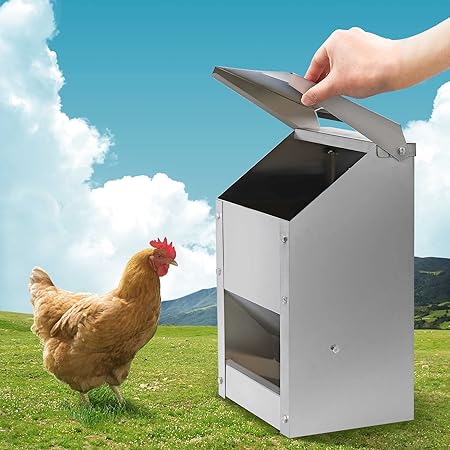 Amazon.com : KHEARPSL Galvanized Wall Mount Chicken Feeder No Waste ...