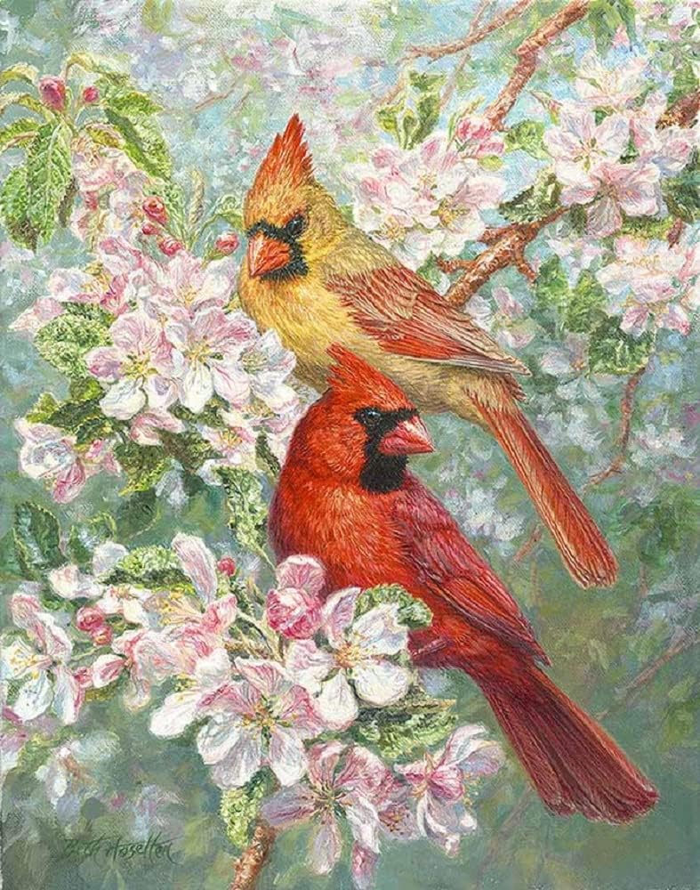 Amazon.com: Picture Peddler Treasure of Spring - Cardinals by Beth ...