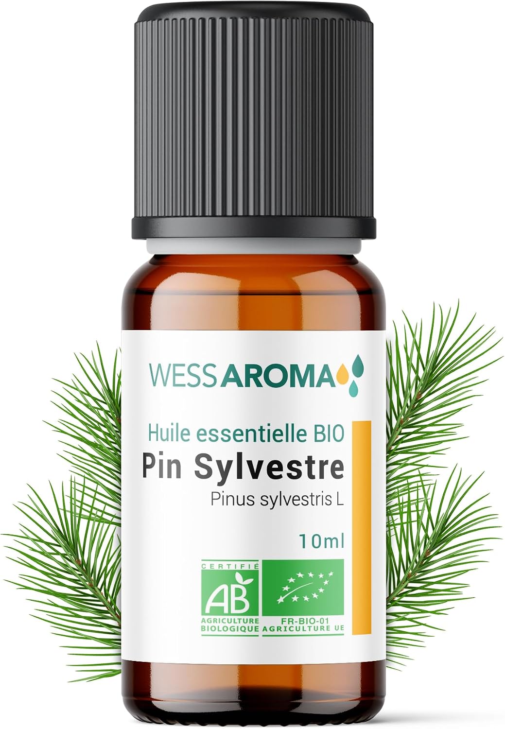 Huile Essentielle BIO de Pin Sylvestre 10ML - Certifiée AB - 100% Pure ...