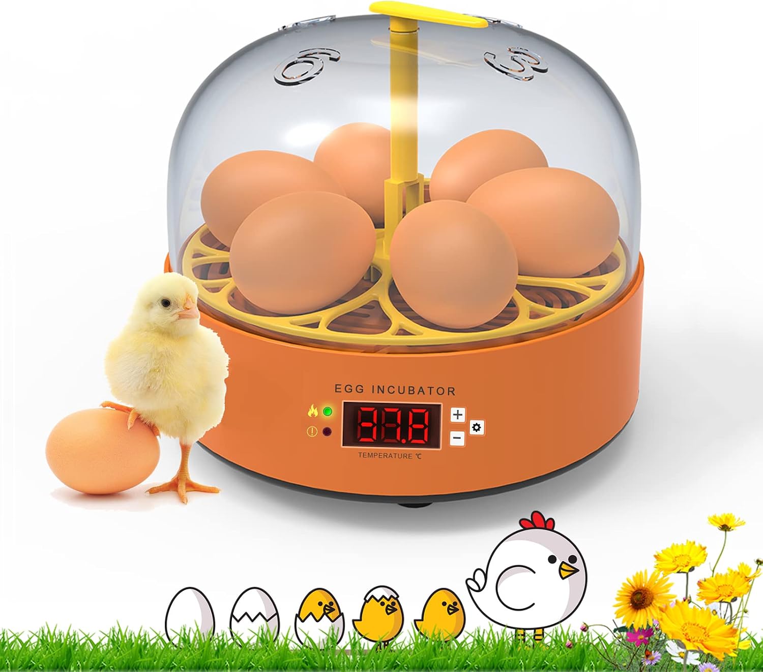Mini Egg Incubator with Automatic Turner and Nepal | Ubuy