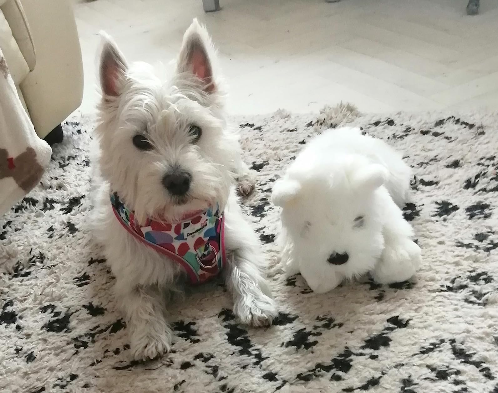 Keel Toys Angus Westie West Highland White Terrier Westie Dog Soft Toy ...