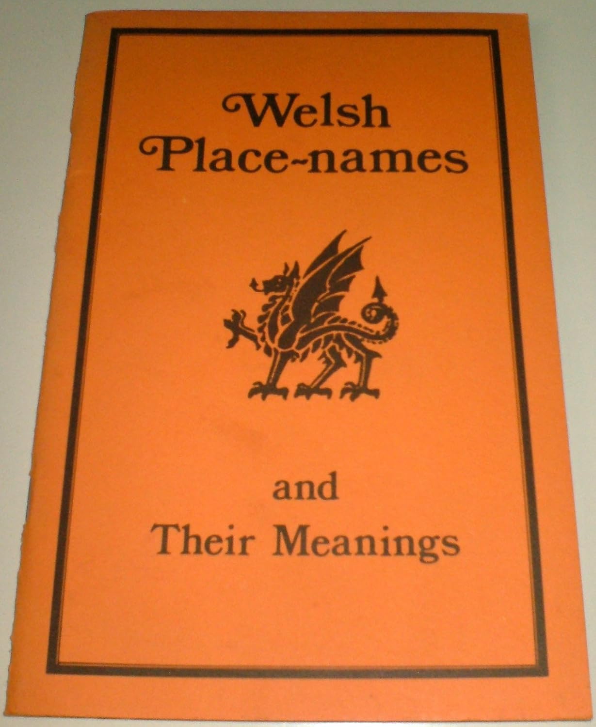 Welsh Place Names and Their Meaning: Davies, Dewi: 9780902850040 ...