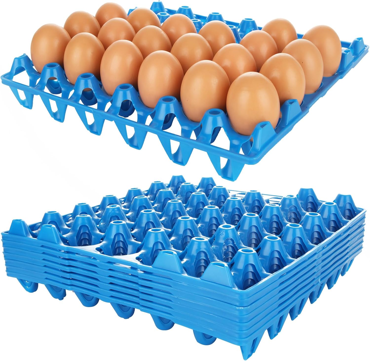Amazon.com: SENENQU 8 Pack Plastic Egg Tray 30-Egg Flats Blue Egg ...