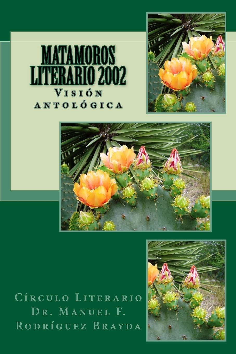 Matamoros Literario 2002: Visión antológica (Spanish Edition ...