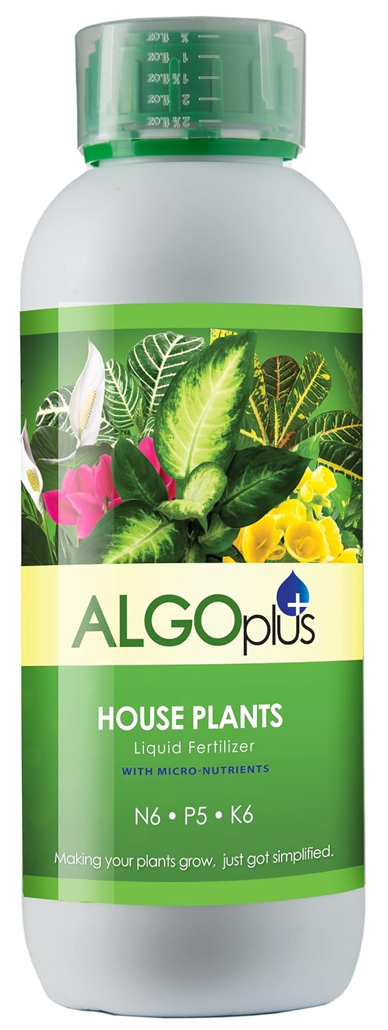 Amazon.com : AlgoPlus for Houseplants - Perfectly Balanced Liquid ...
