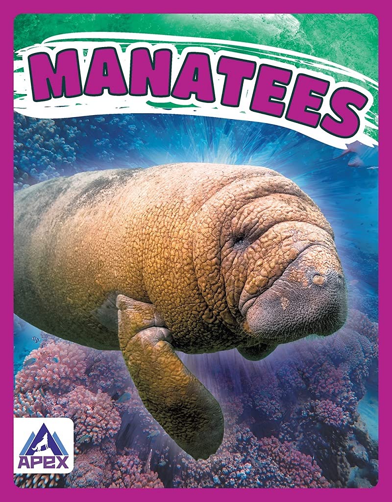 Manatees (Giants of the Sea): Katie Chanez: 9781637380413: Amazon.com ...