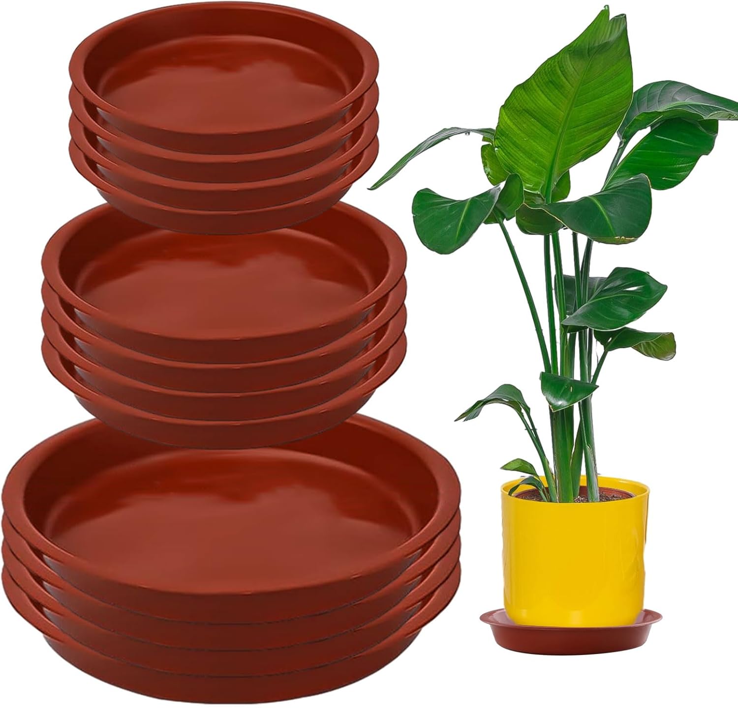 penmol 12Pcs Plant Pot Saucers,Waterproof Plant Saucers,Sturdy Plant ...