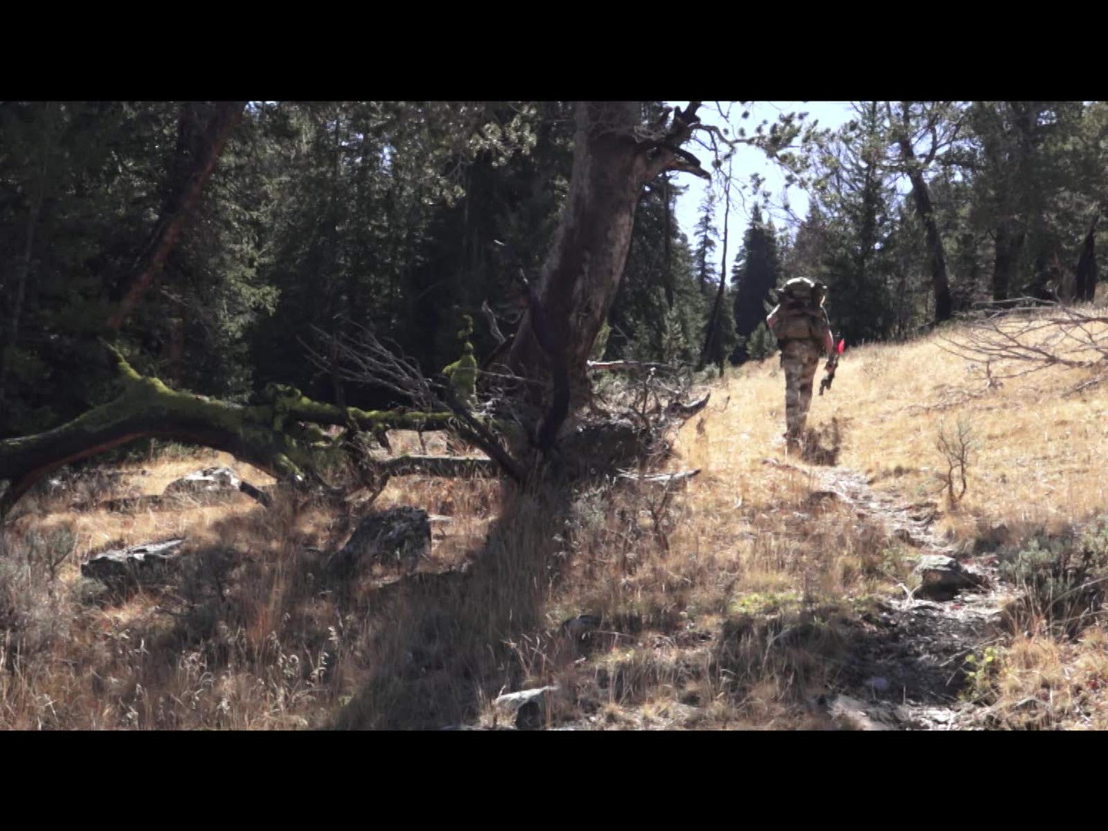 Watch The Western Hunter - Season 4 | Prime Video