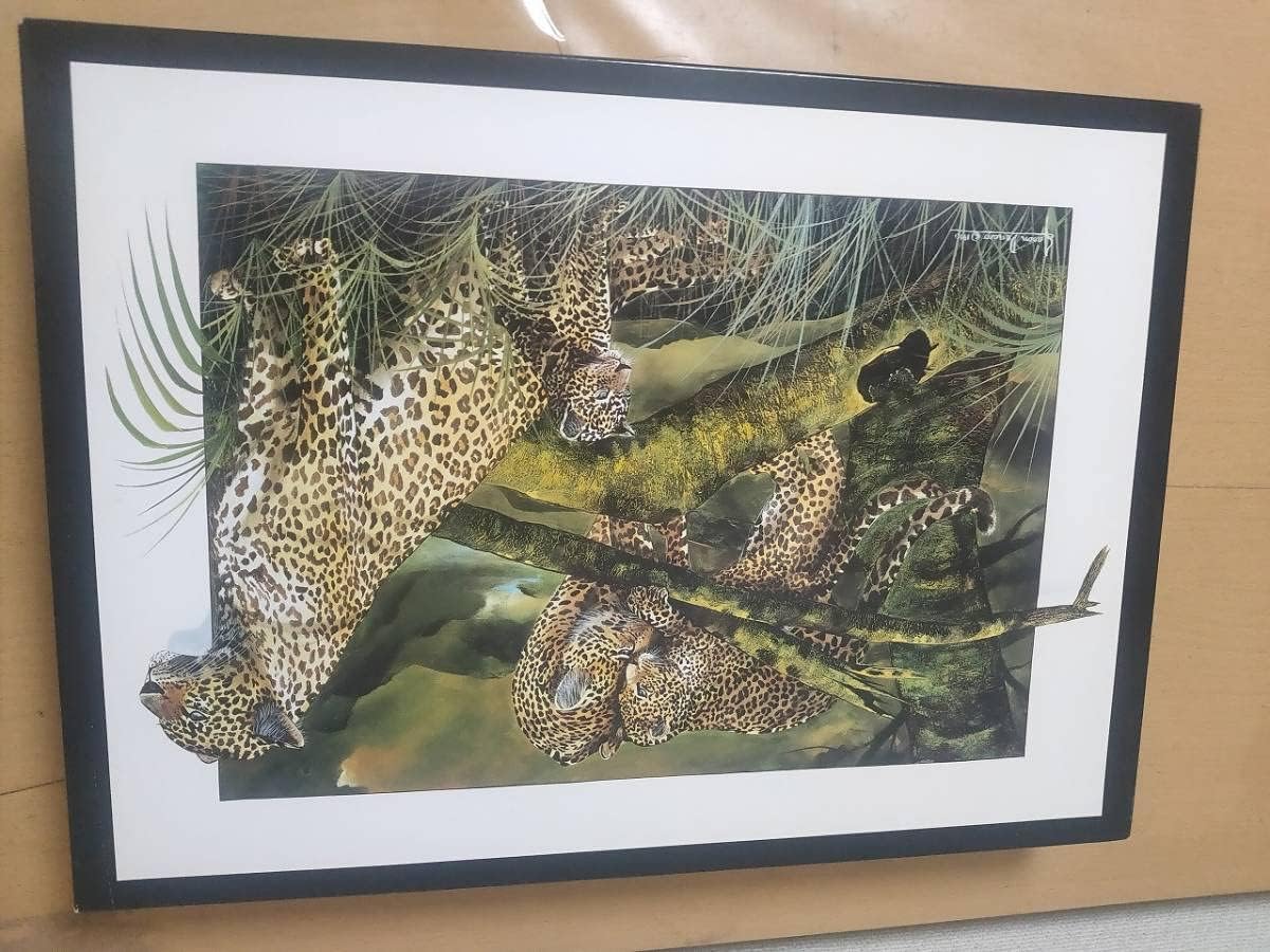 Amazon | JASON DENARO ジェイソンデナロ ジグソーパズル 2000ピース チーター 動物 | ジグソーパズル | おもちゃ