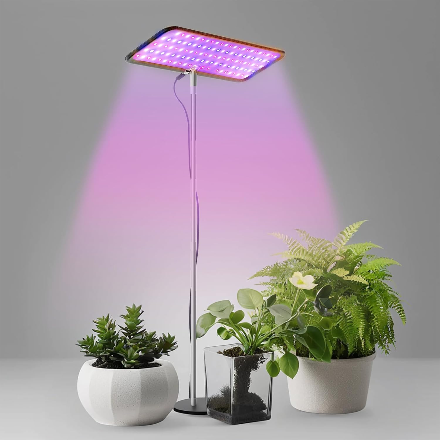Amazon.com: Standing Grow Light for Indoor Growing & Plant Growth ...