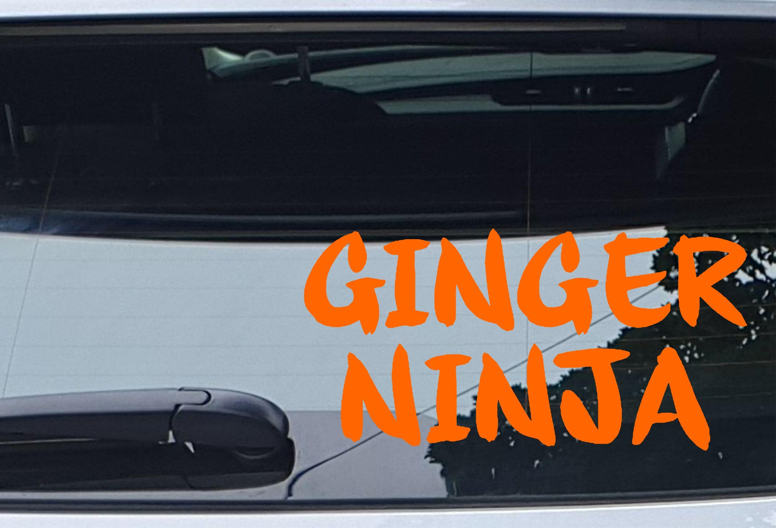Ginger Ninja Quotes