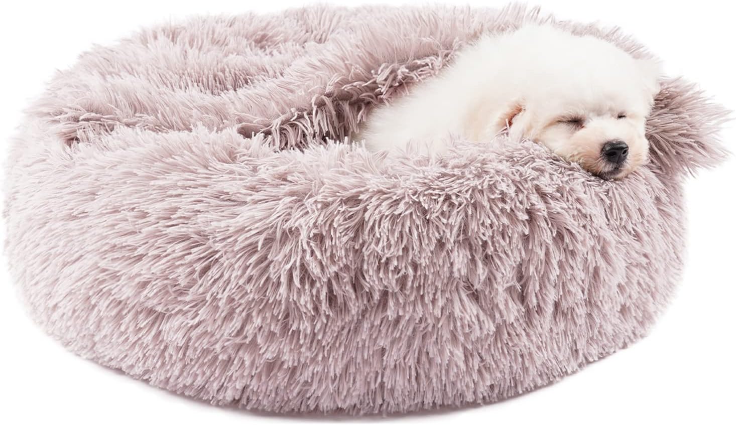 Amazon.com : Generic Olvys Cozy Cocoon Dog Bed, Comfy Cocoon Pet Bed ...