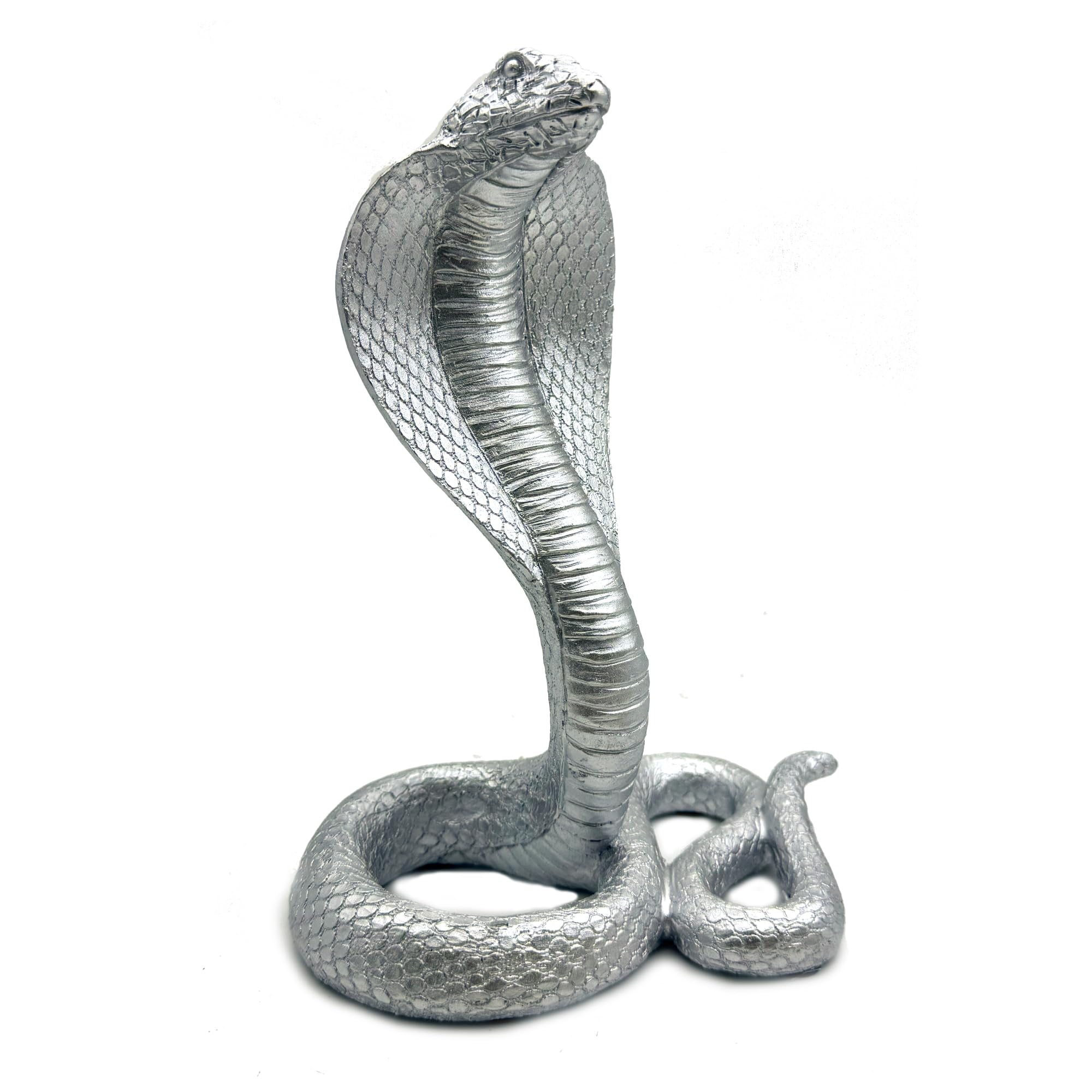 King Cobra White Background