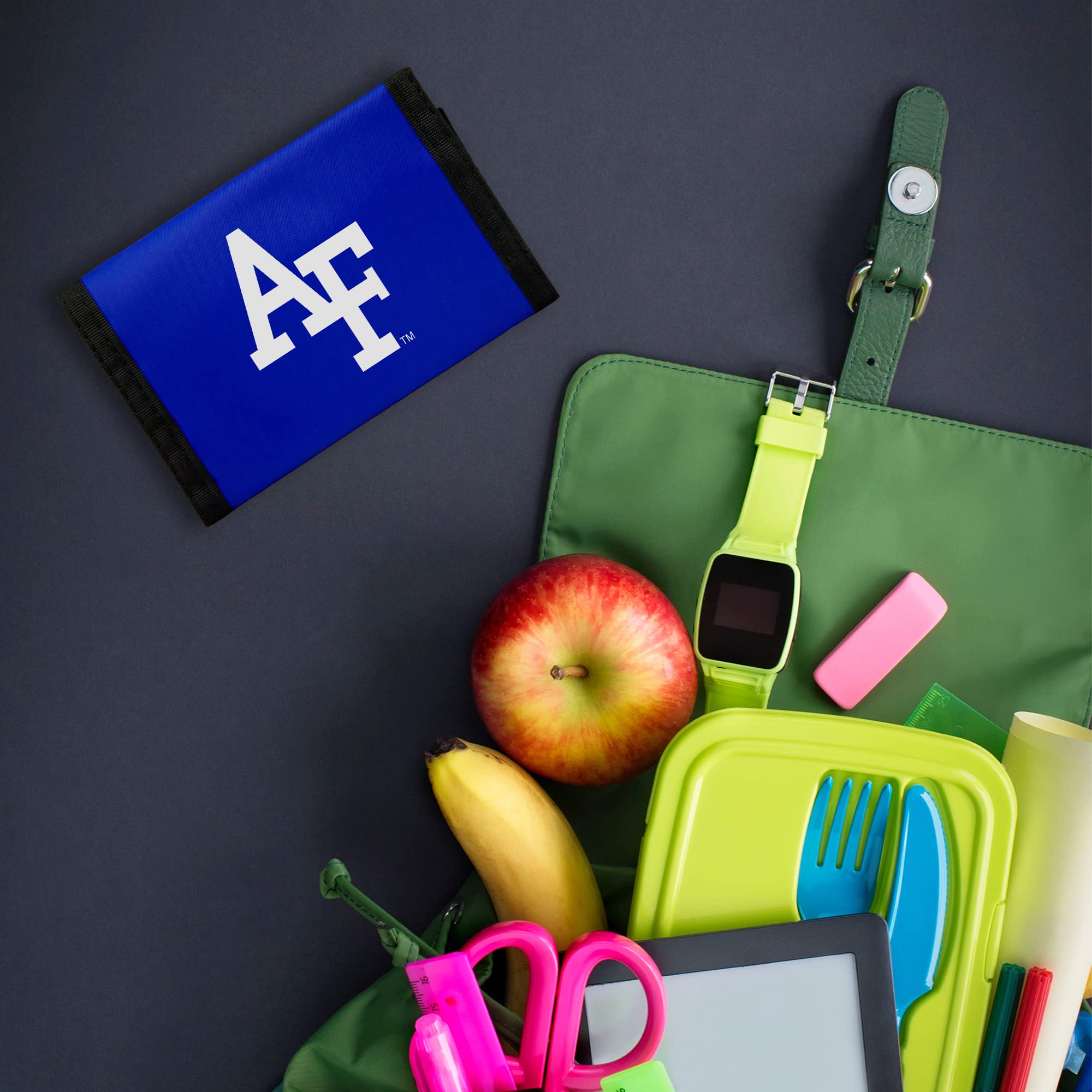 Snapklik.com : Rico Industries NFL Rico Industries Detroit Lions Nylon ...