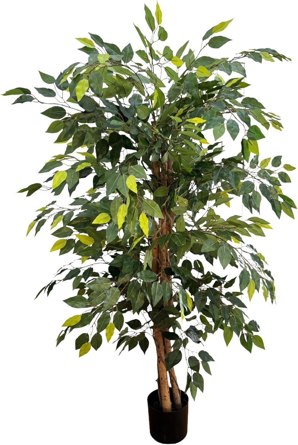 Amazon.com: Wildwood & Cypress Handmade Incredibly Realistic Ficus Tree ...
