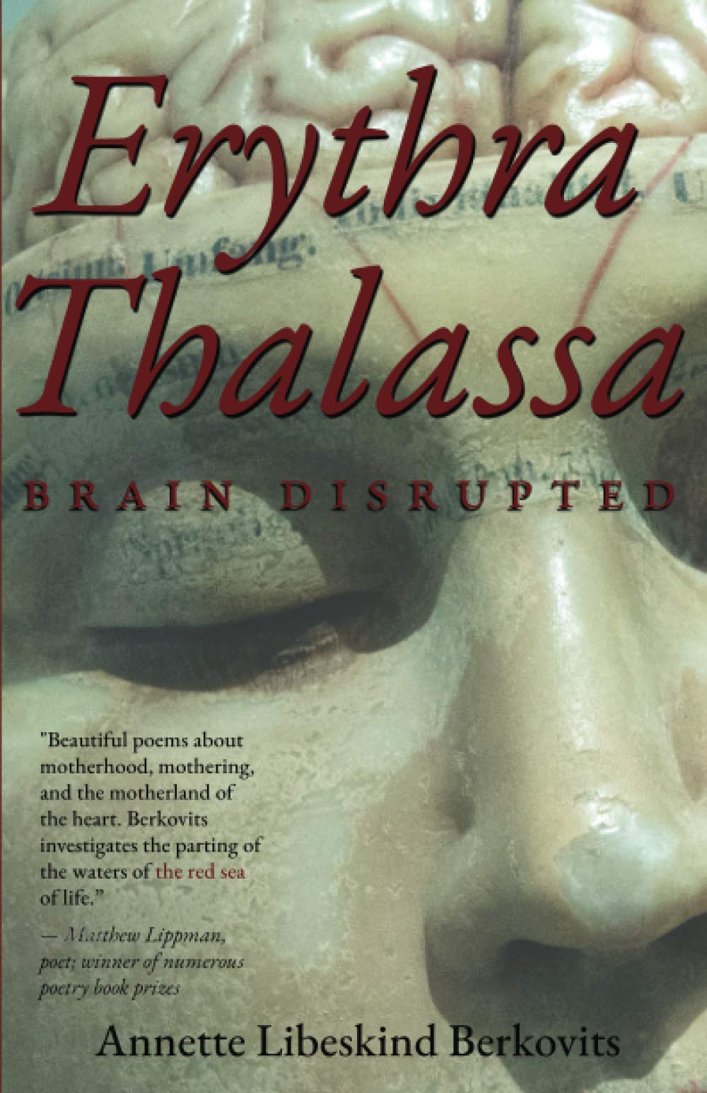 Amazon.com: Erythra Thalassa: Brain Disrupted: 9780998757827: Libeskind ...