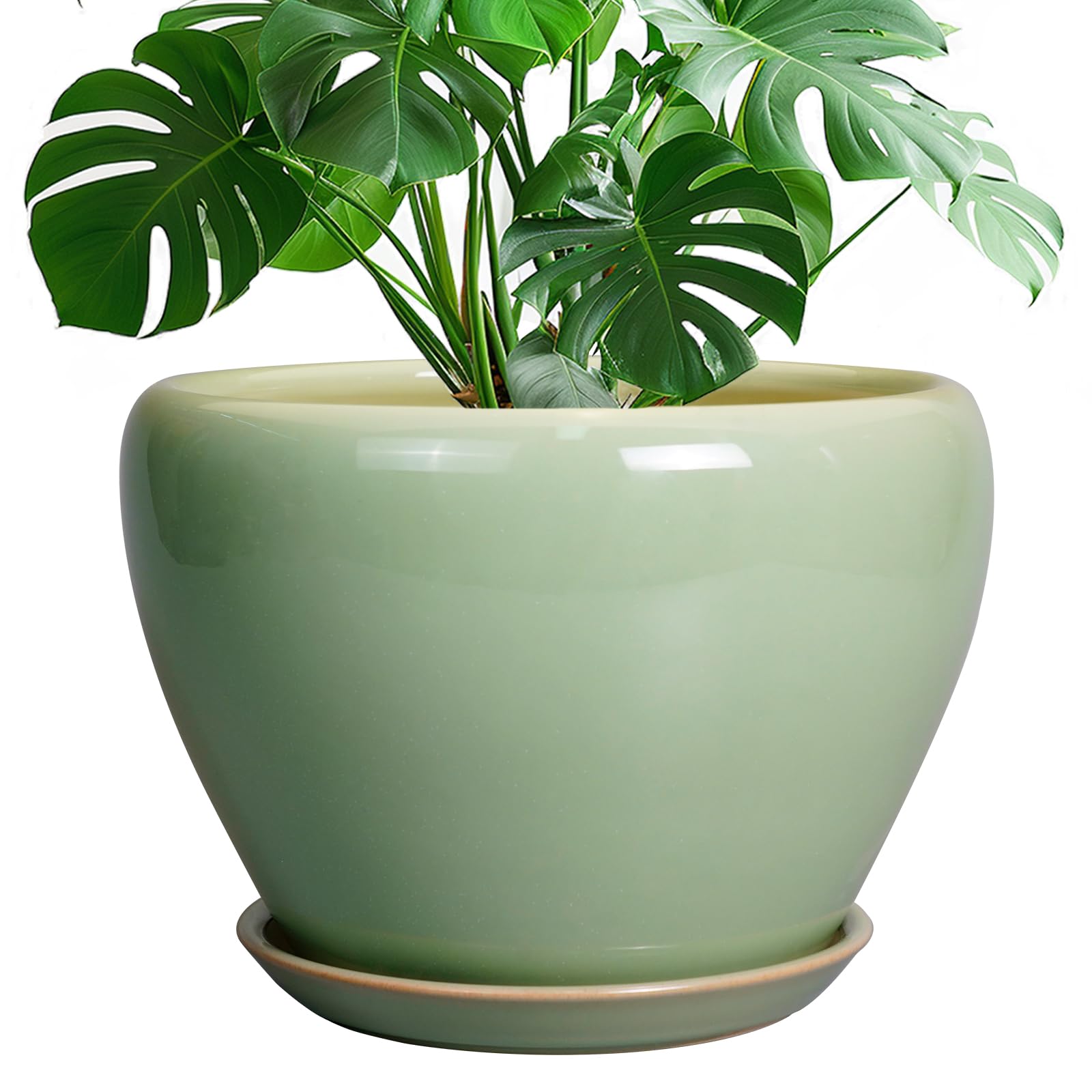 Amazon.com : Ceramicfor Ceramic Planter Pot - 10 Inch Plant Pot for ...