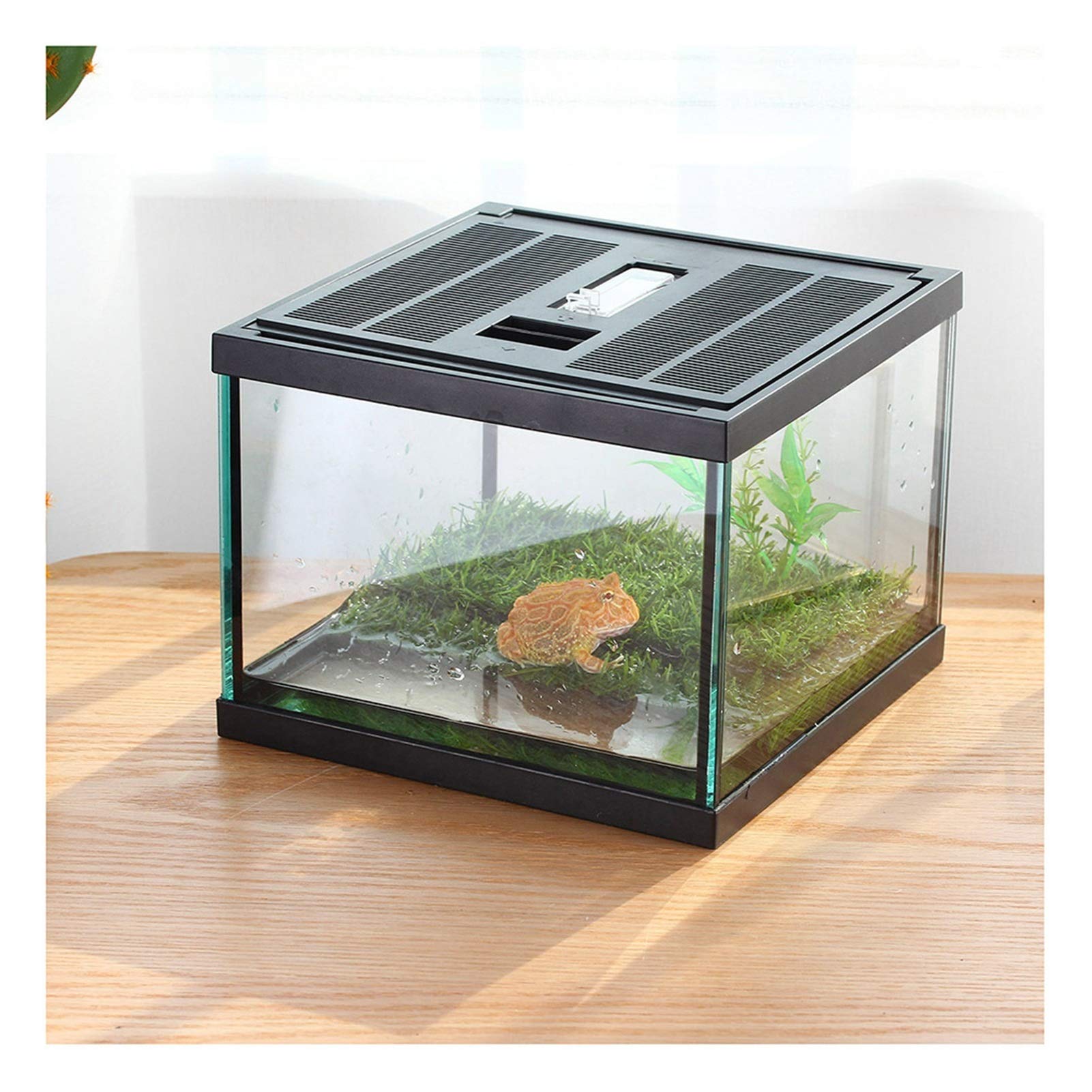 Buy YING-pinghu Fish Tank Water Tank Accessories Ge Gecko Habitat ...