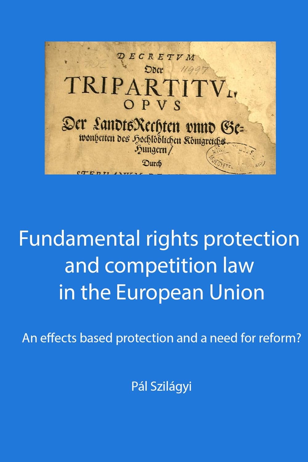 Fundamental rights protection and competition law in the European Union ...
