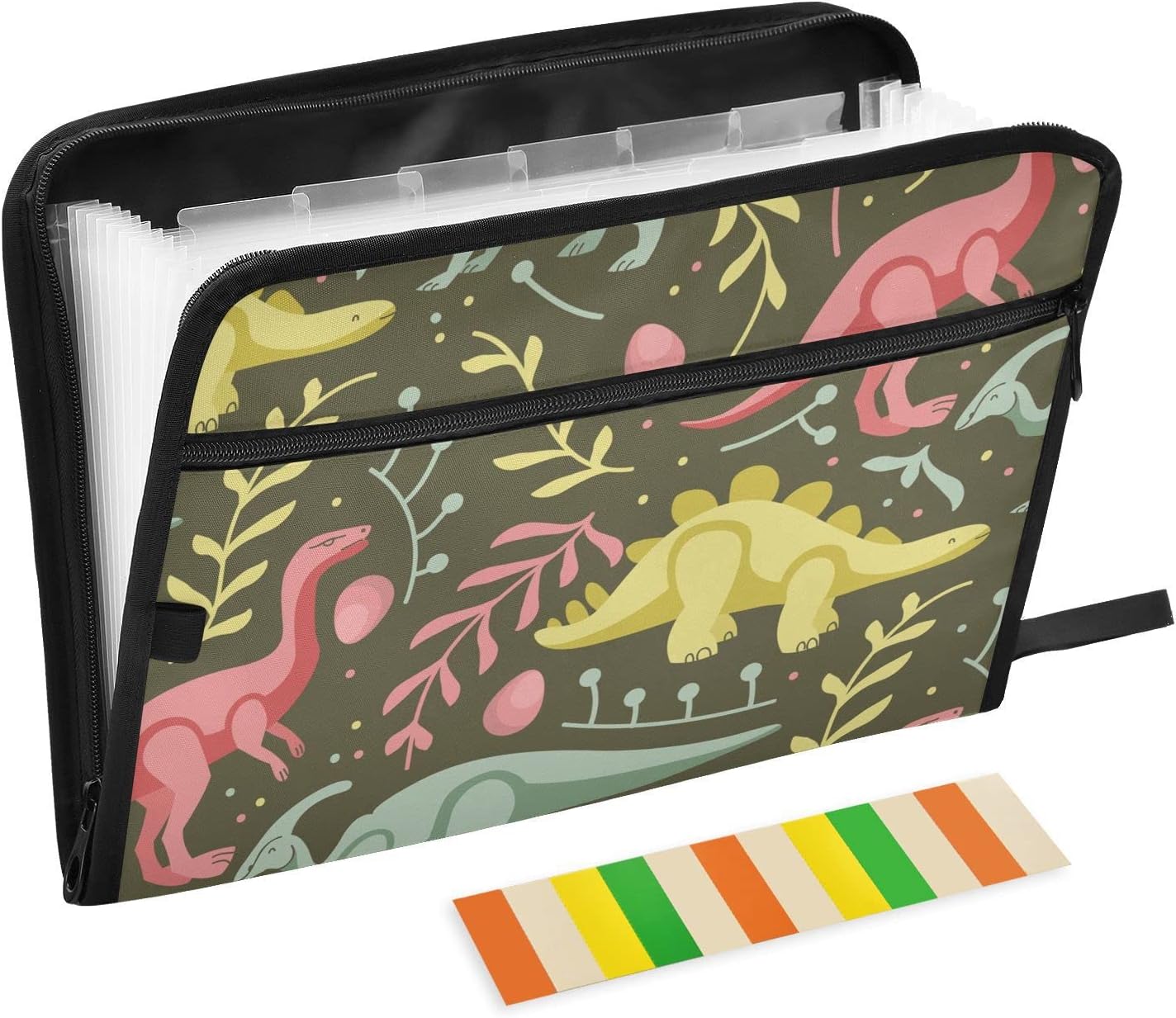 Amazon.com : Dinosaur Expanding File Folders 13 Pocket Accordion File ...