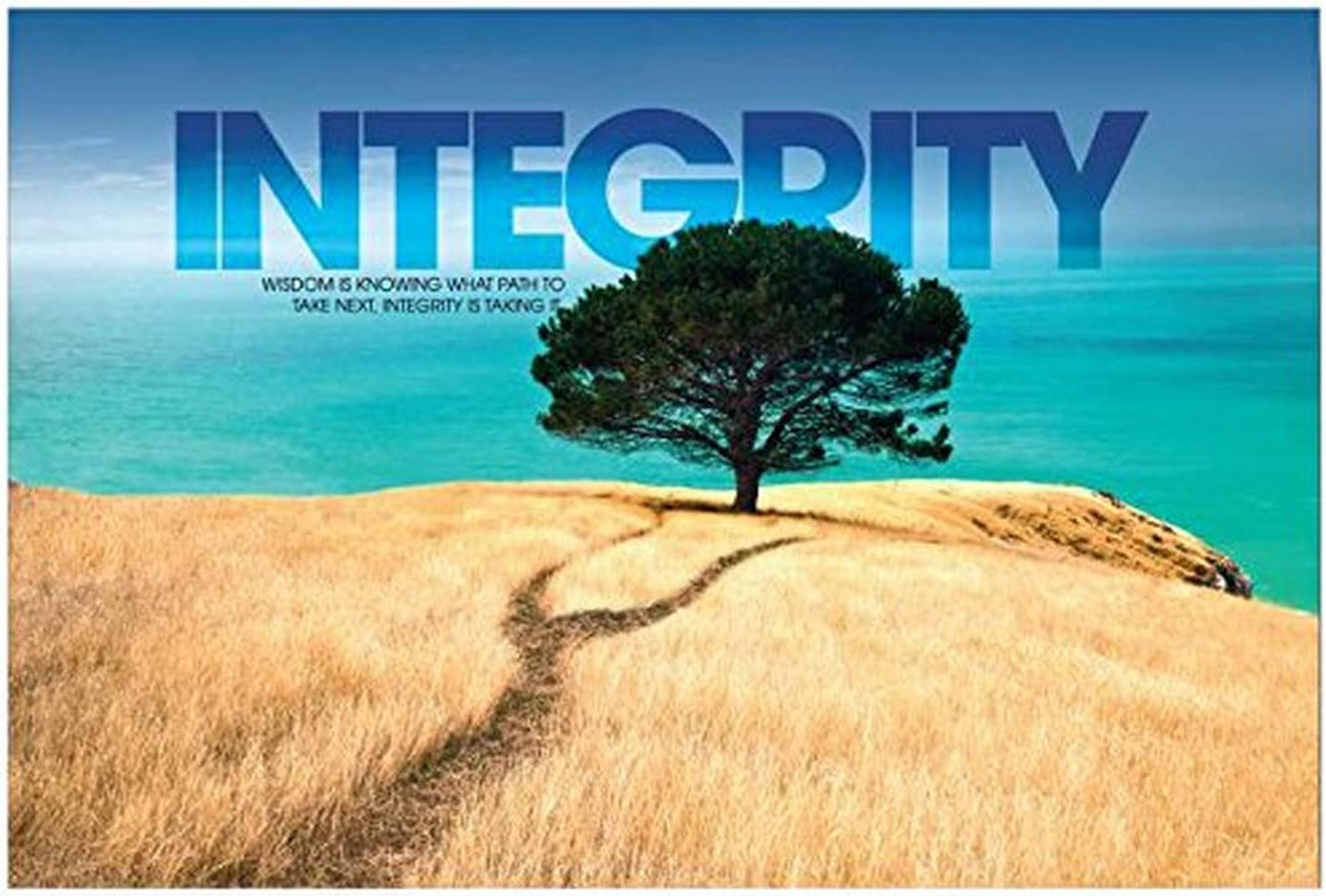 Amazon.com: Successories Wood Mounted, 20"x32"-Integrity Tree ...