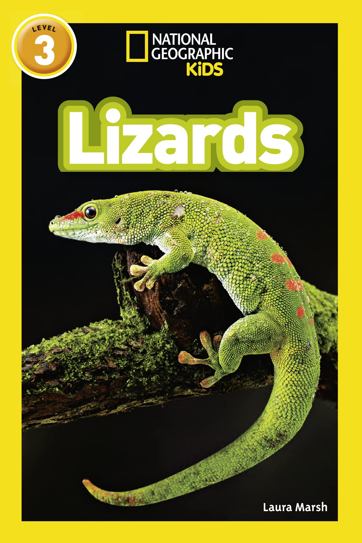 NAT GEO READER - LIZARDS: Marsh, Laura: 9780008266738: Amazon.com: Books