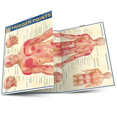 Trigger Points: BarCharts, Inc.: 9781423203162: Books - Amazon.ca