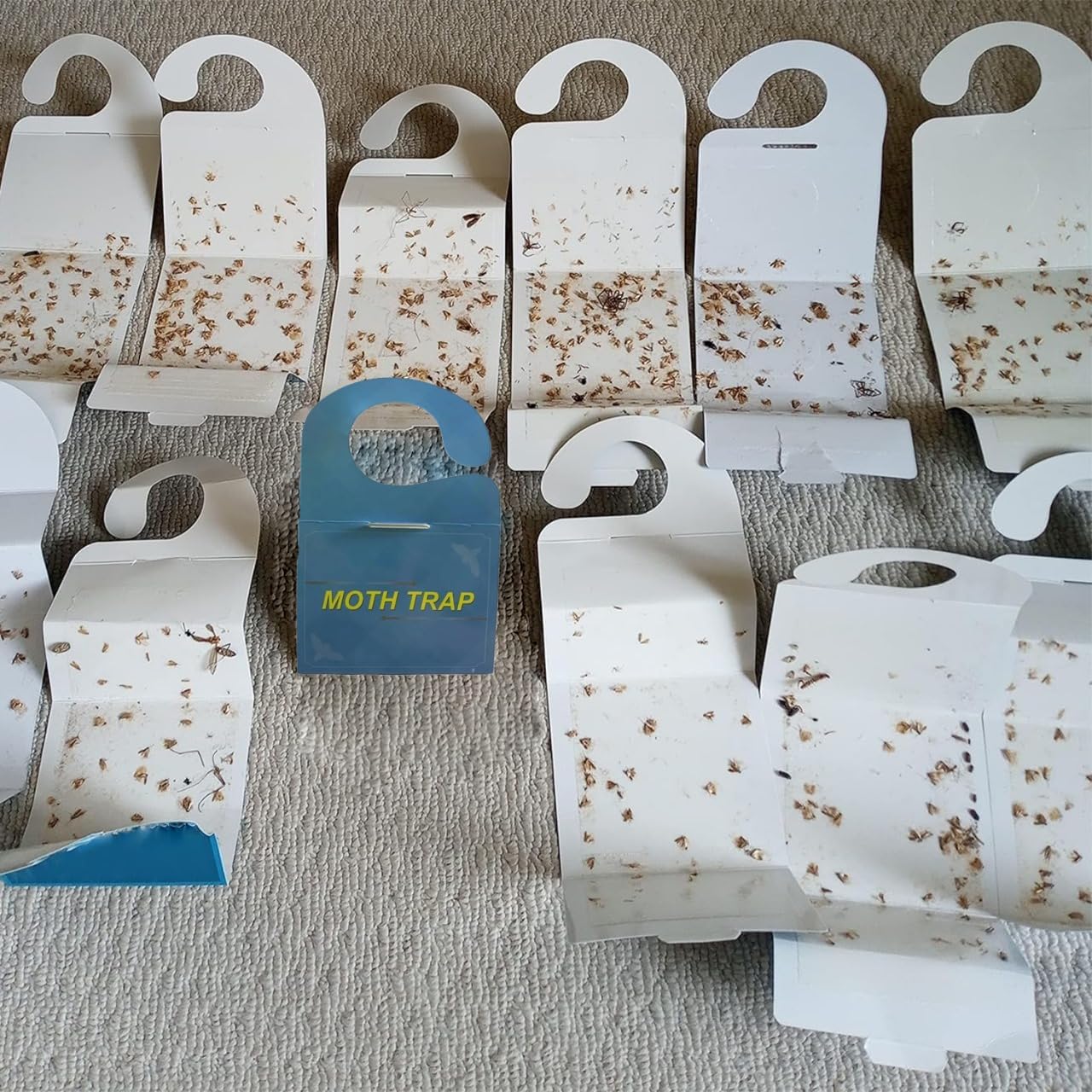 Treaty 5pcs Moth Killer for Wardrobe-Kitchen-Hotel-Table-Rooms ...