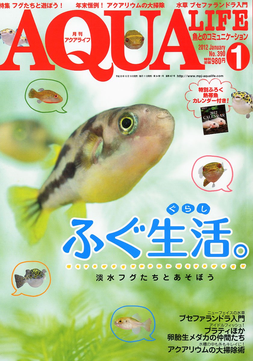 月刊 AQUA LIFE (アクアライフ) 2012年 01月号 [雑誌] |本 | 通販 | Amazon