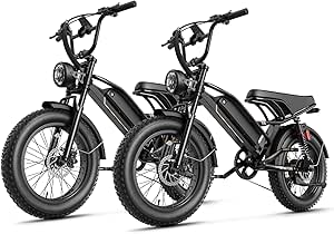 Amazon.com : Jasion YR20 Electric Bike for Adults with Peak 2000W Motor, 48V 20AH Battery ...