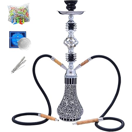 Amazon.com: New GSTAR Deluxe Series: 18" 2 Hose Hookah Complete Set ...