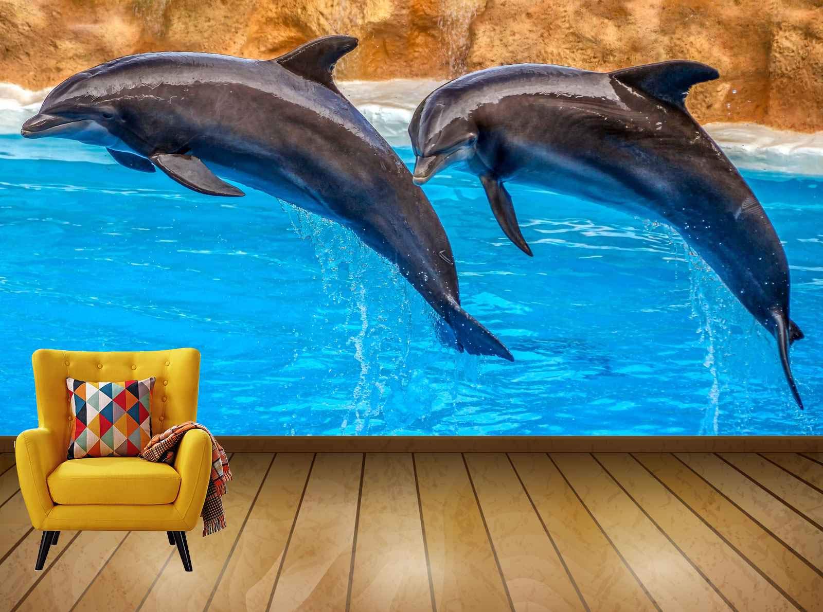 Desktop Wallpaper Of Dolphins Dolphins Photos, Download The BEST Free
