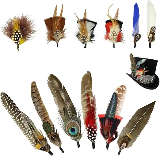 12 PCS Feathers for Hats, Natural Peacock Feathers Coloured Feathers ...