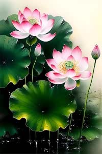 Amazon.com: ZQNLO Diamond Art Painting Kits for Adults - Flower Diamond ...