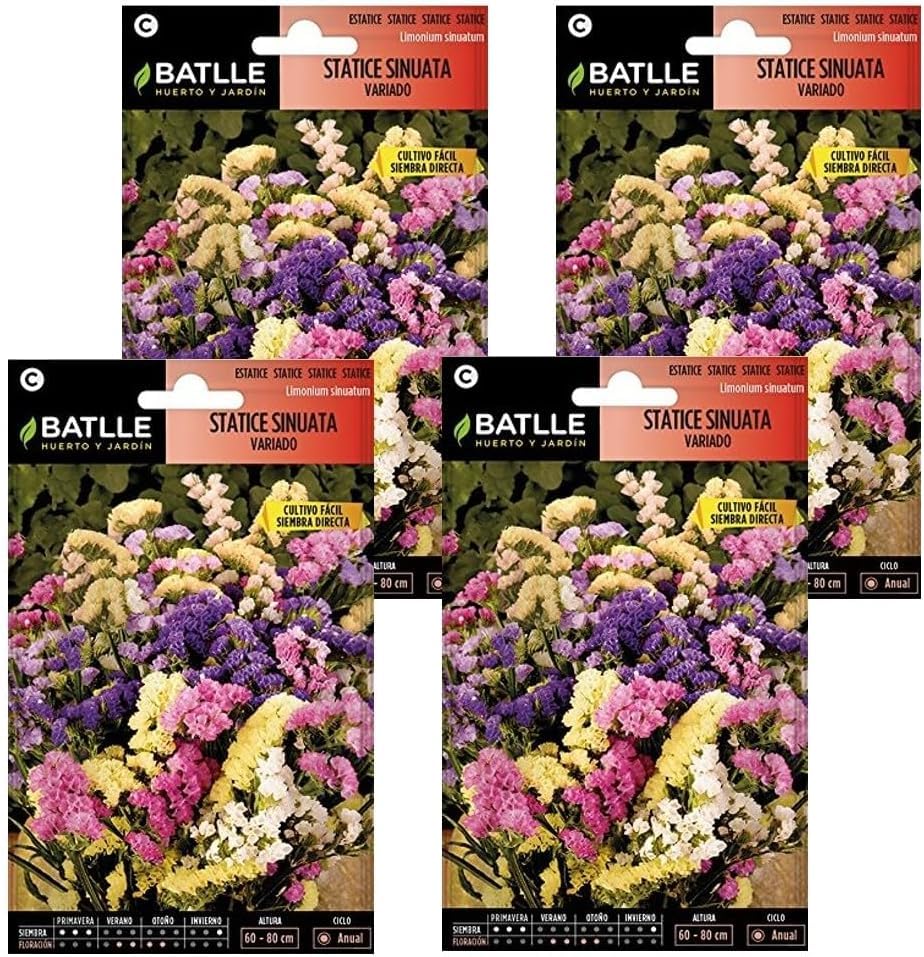 Semillas de Statice Sinuata Variado: Guía para cultivar flores ...