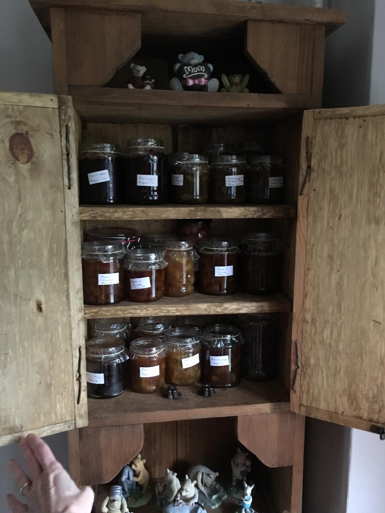 The Modern Preserver: A mindful cookbook packed with seasonal appeal ...