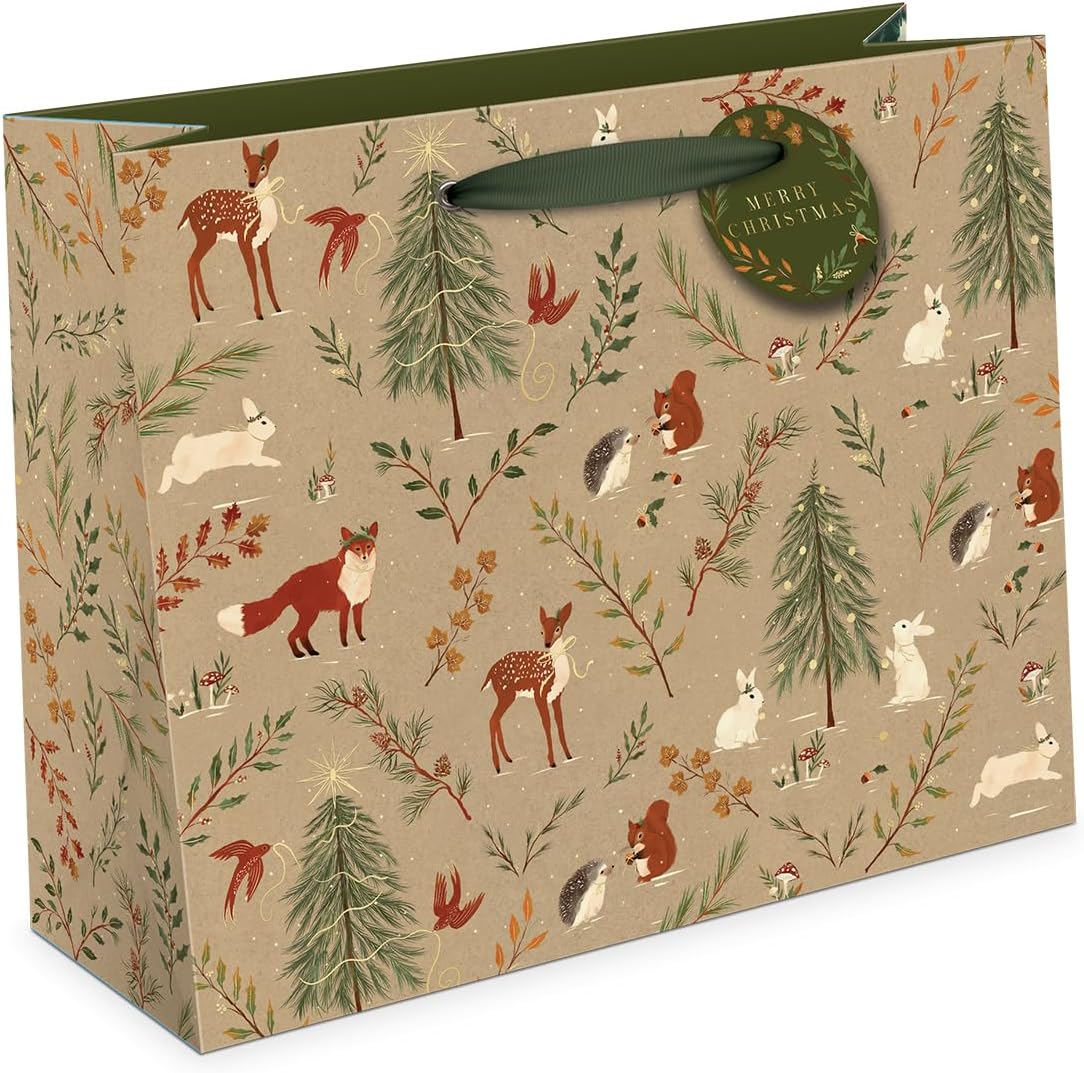 Amazon.com: Punch Studio Gift Bag, Large, multi : Health & Household