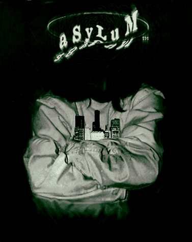 Asylum: Rosenberg, Aaron: 9781892544001: Amazon.com: Books