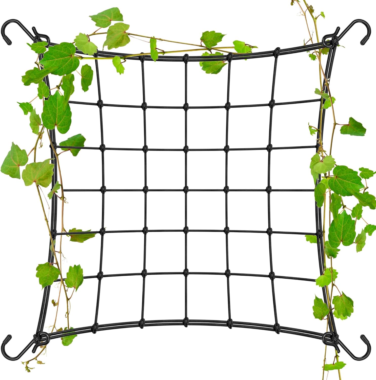 Amazon.com : VIVOSUN 3 x 3Ft. Elastic Trellis Netting with 4 Hooks for ...