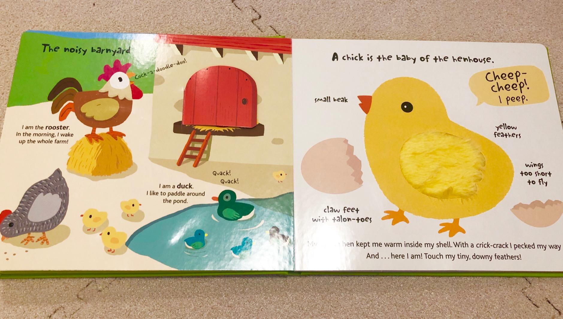 Amazon | Farm (Touch and Explore) (Touch and Explore, 2) | Deneux ...