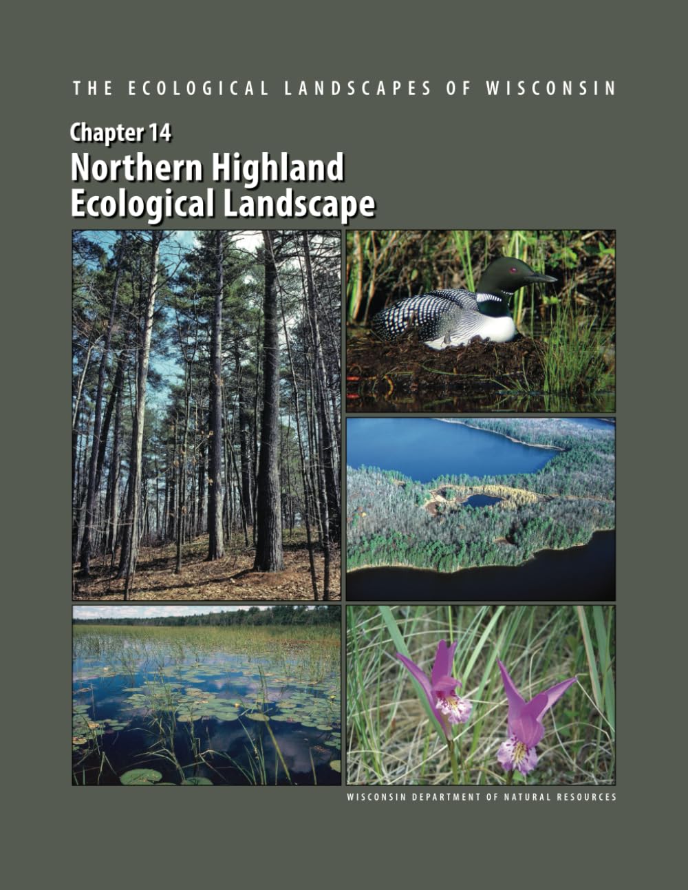 The Ecological Landscapes of Wisconsin: Northern Highland Ecological ...