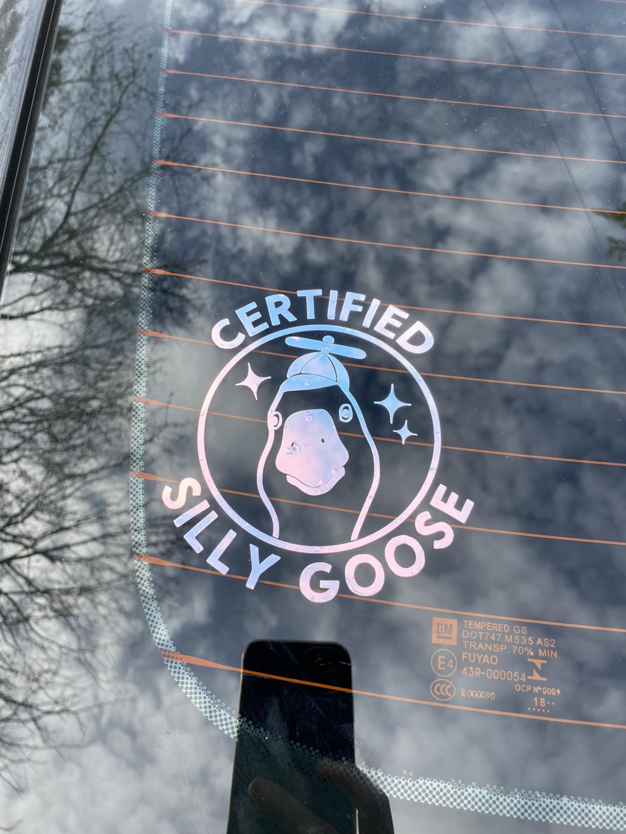 Amazon.com: Certified Silly Goose On Board Holographic Bumper Car ...