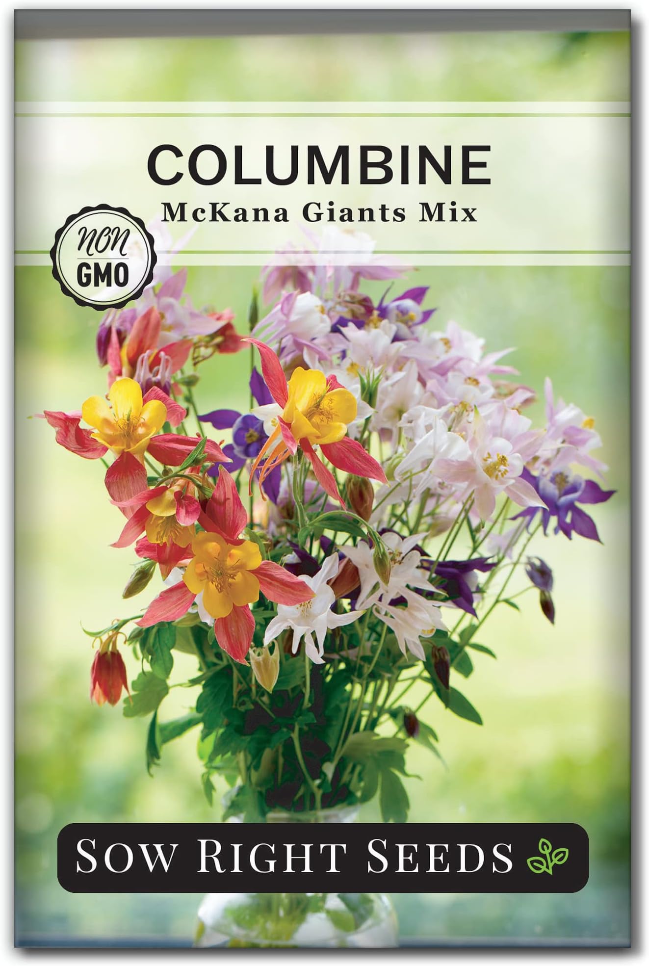 Amazon.com : Everwilde Farms - 1250 McKana Giants Mix Columbine Native ...