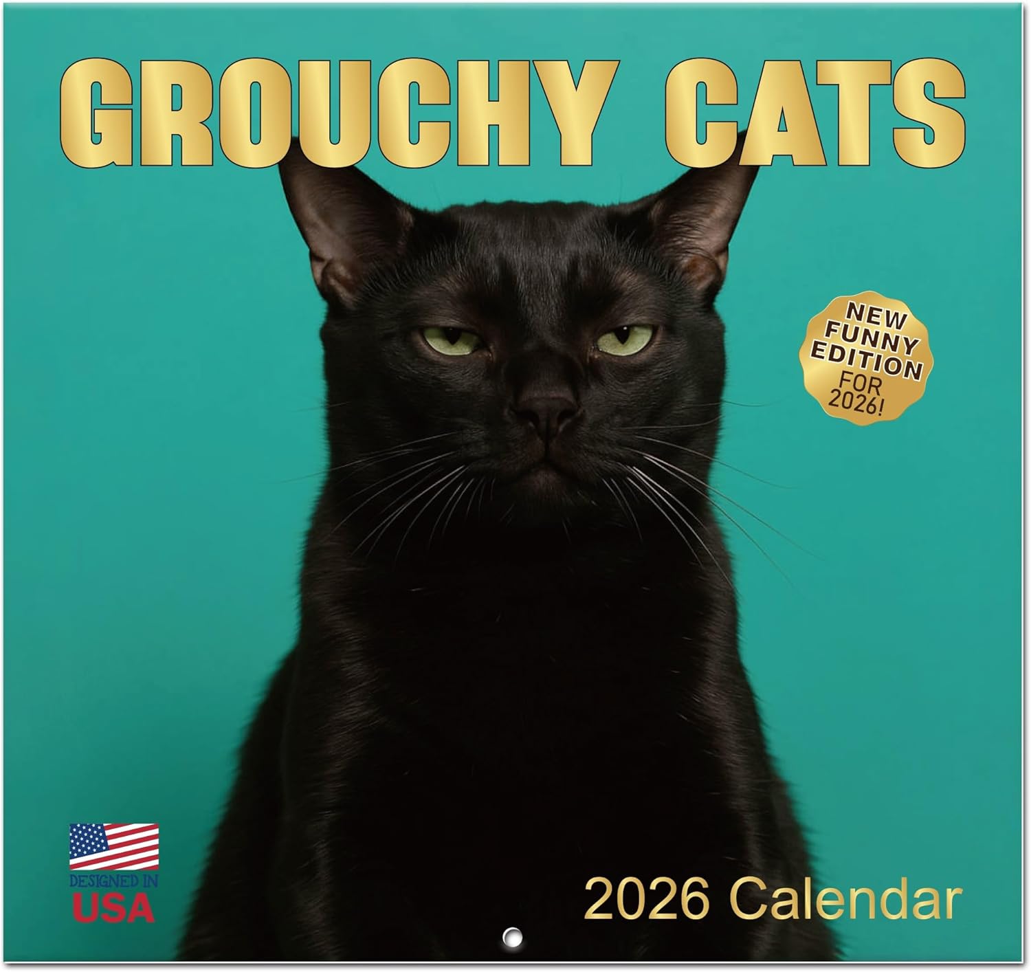 Cat Calendar 2026-12" x 24" (Open) Funny Cat Calendar 2026, Wall ...
