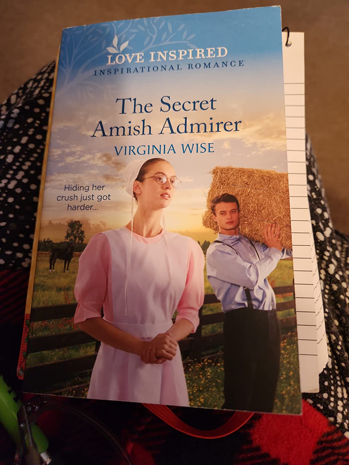 The Secret Amish Admirer: An Uplifting Inspirational Romance (Love ...